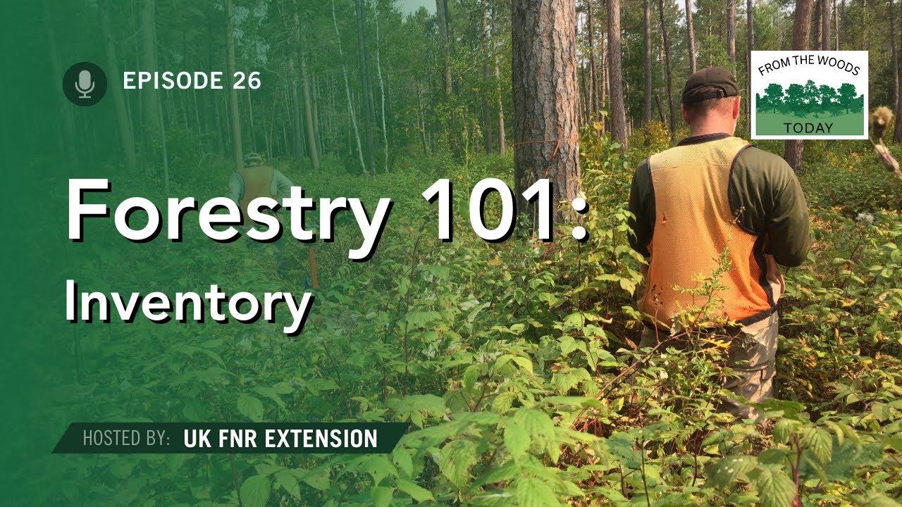 Forestry 101 Part 4 - From the Woods Today - Episode 26 - YouTube