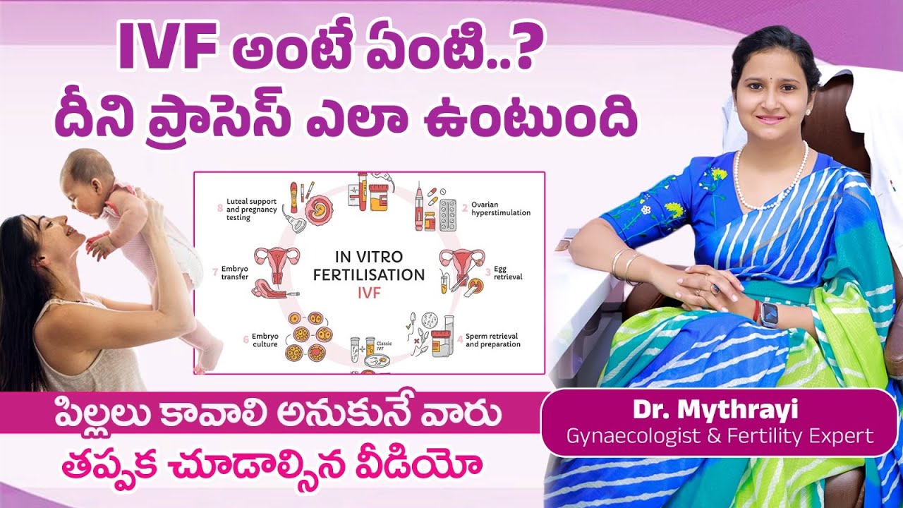 IVF Procedure Explained: A Step-by-Step Guide to In Vitro ...