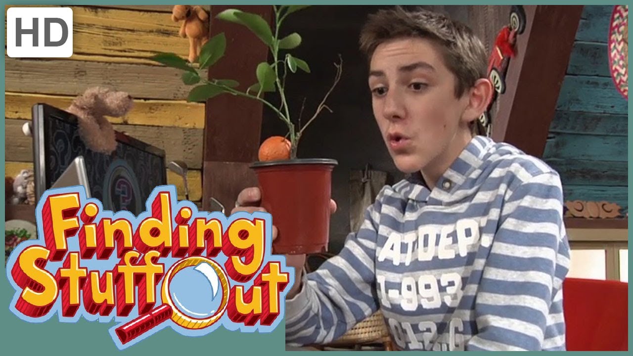 Finding Stuff Out- "Plants" Season 2 Episode 7 (FULL EPISODE) - YouTube
