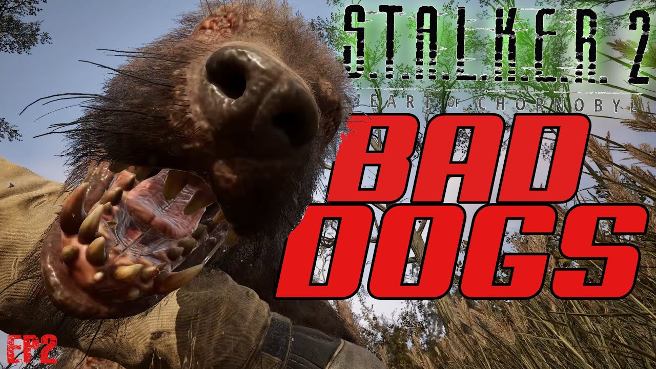 First Missions In The Zone! | Stalker 2 series | Ep. 2 #stalker2 - YouTube