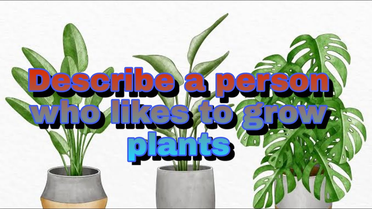 Describe a person who likes to grow plants|Makkar new cue cards sep to ...