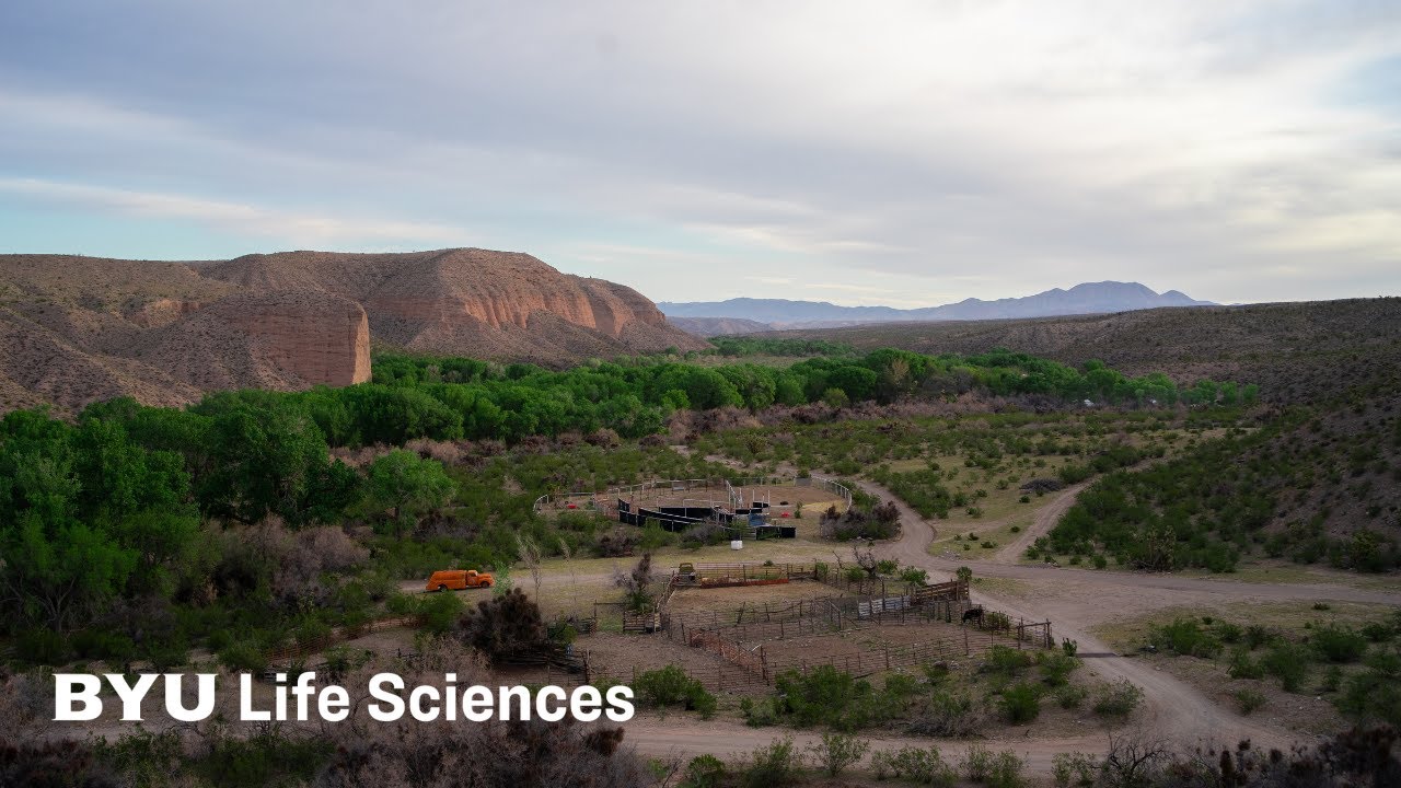 The History Behind BYU's Lytle Ranch and Preserve - YouTube