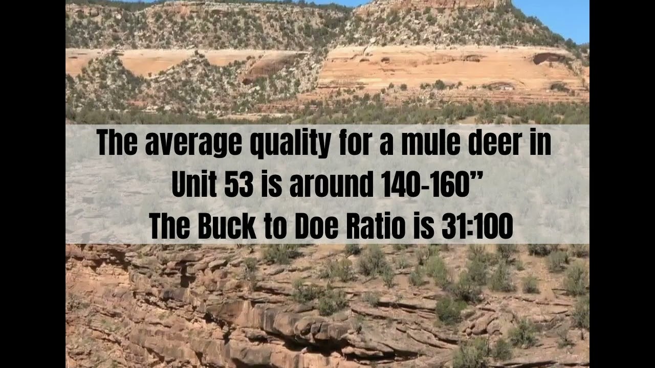 New Mexico GMU Unit 53 Hunting Information - YouTube