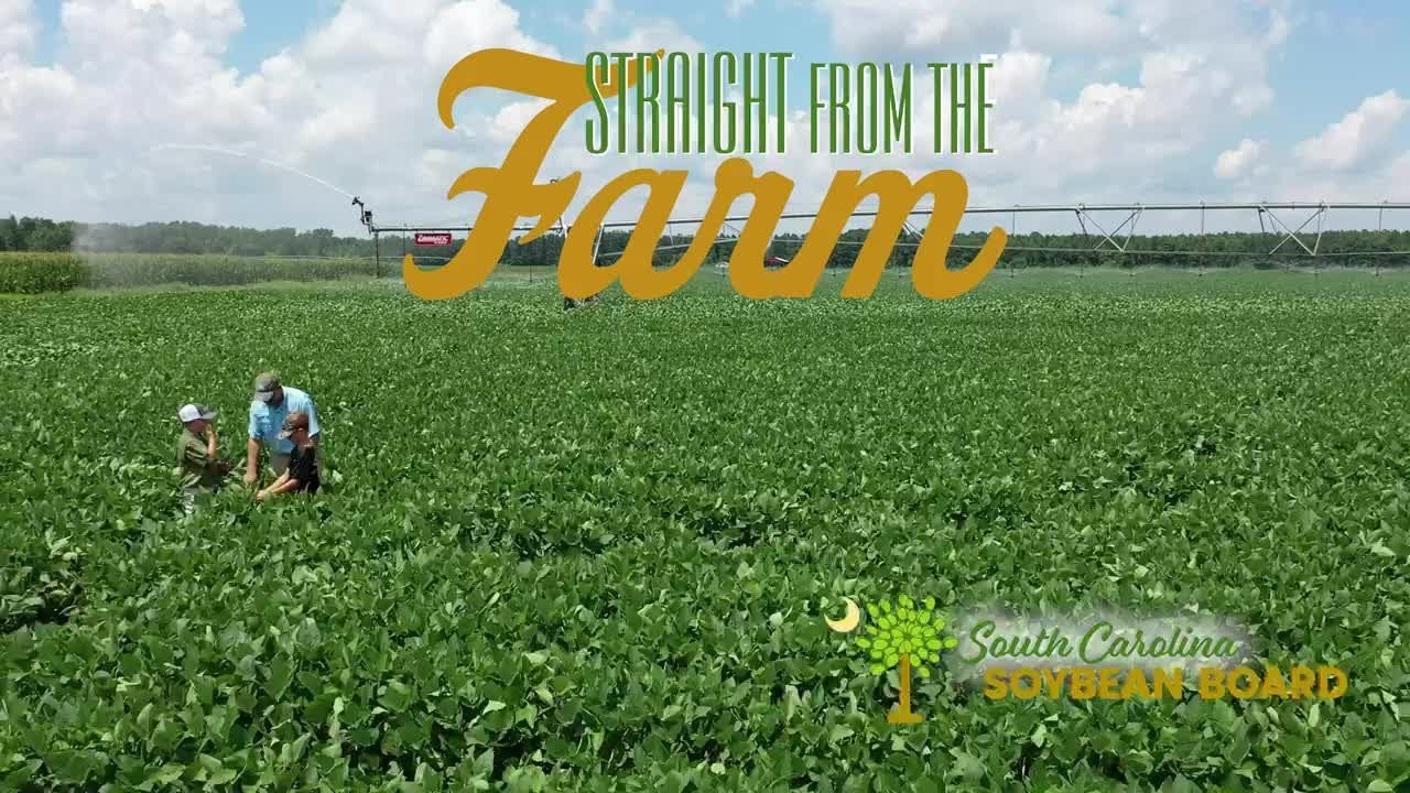 South Carolina Soybean Board - YouTube