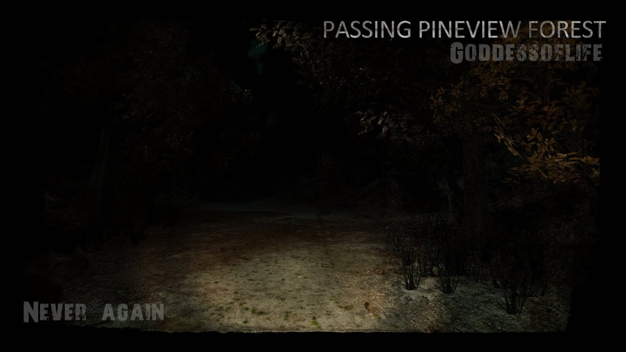 Passing Pineview Forest - YouTube