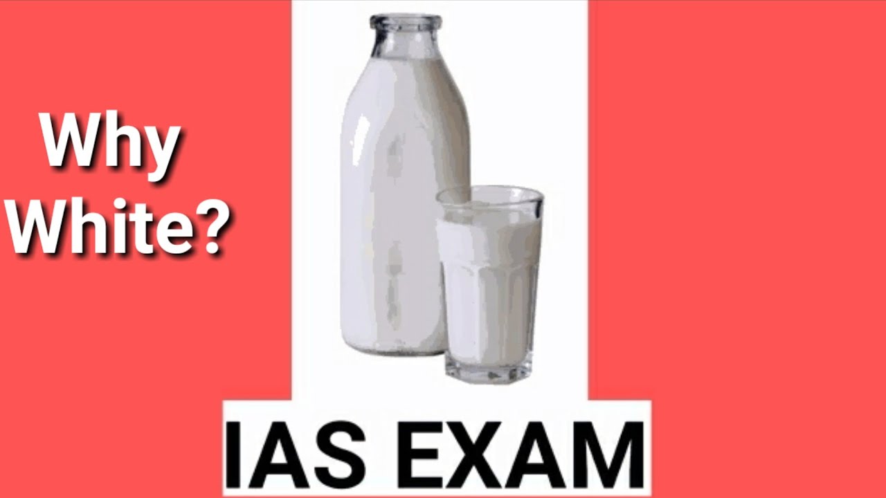 General Awareness Questions: Why is milk white? - YouTube