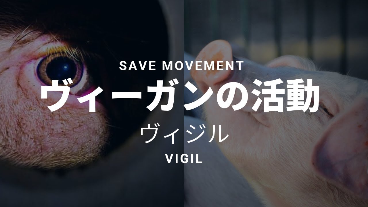 【ヴィーガンの活動–ヴィジル】SAVE movement Essex Pig Save - YouTube