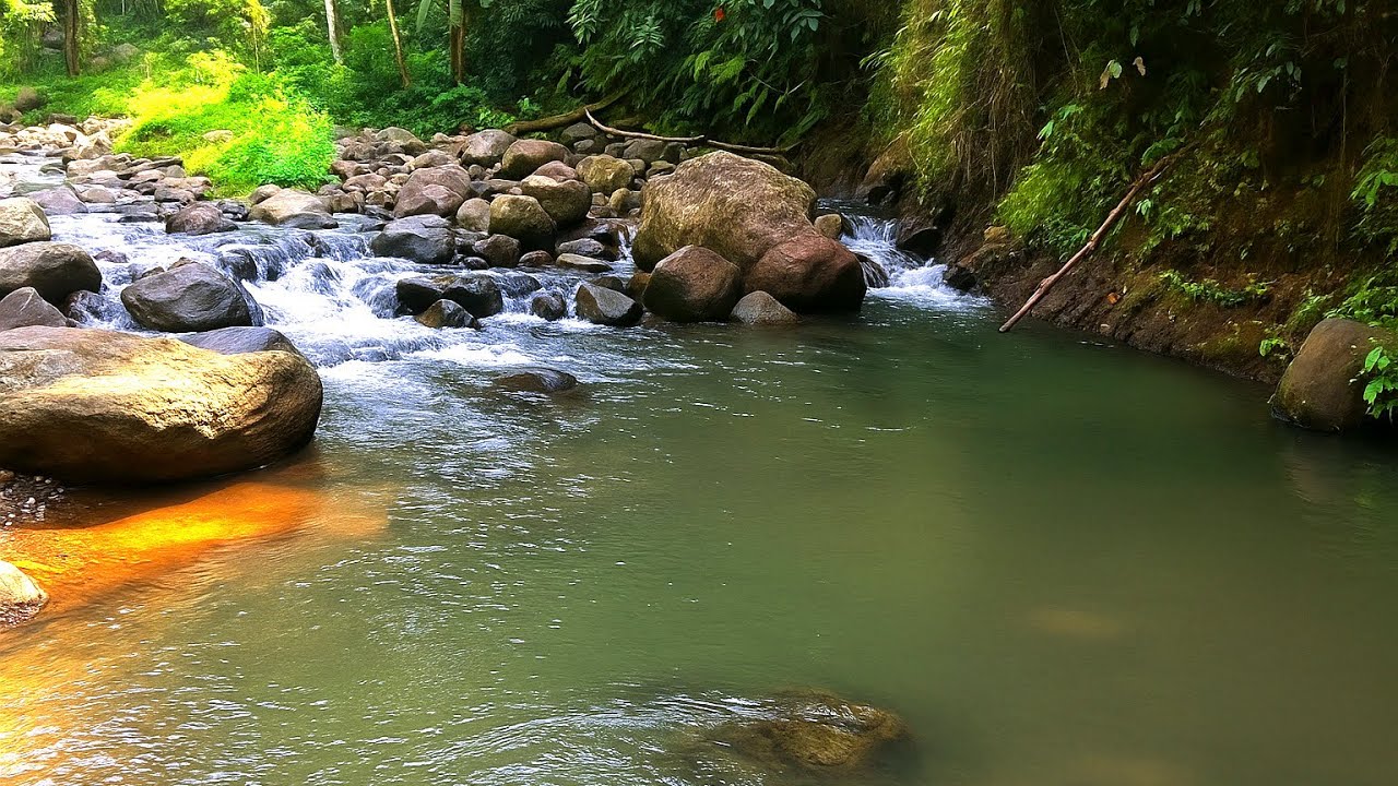 Relax Instantly With Gentle River Sounds Flowing Through A Peaceful ...