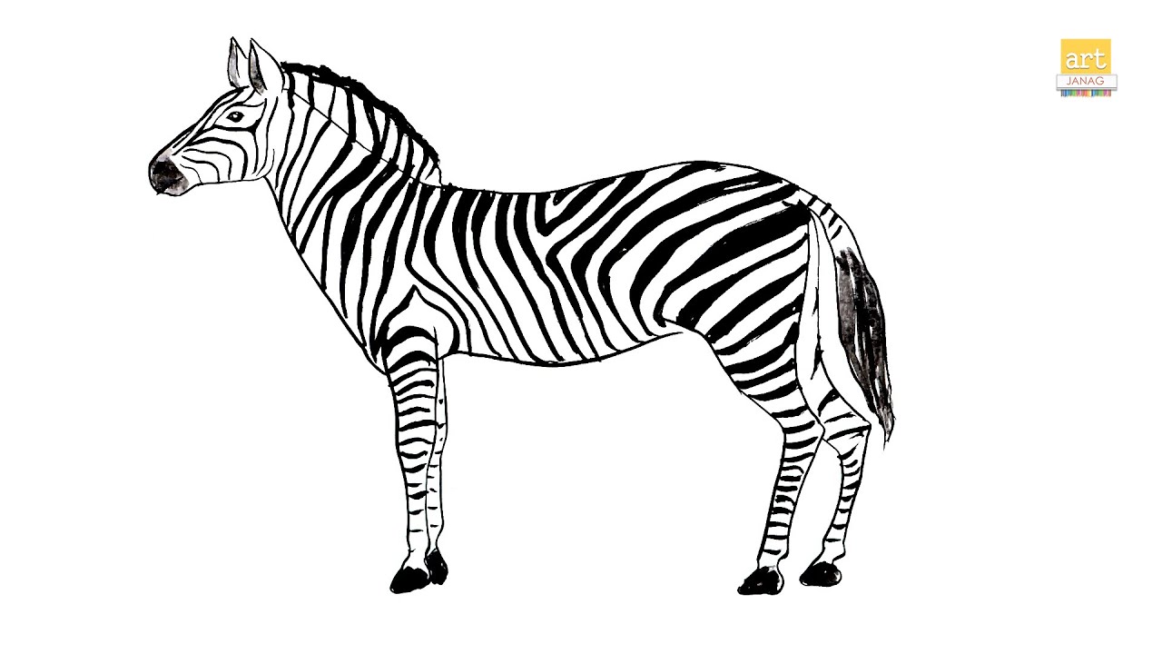 Zebra drawing easy II How to draw A Zebra II part 01 II #artjanag - YouTube