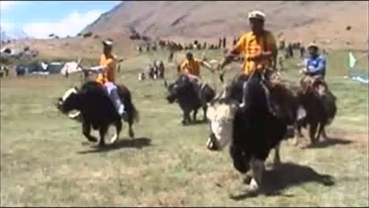 Pakistan's yak polo players hope for government support - YouTube