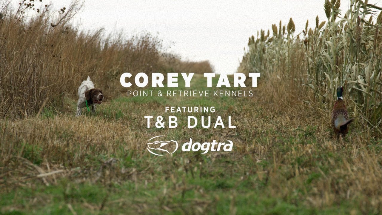 Dogtra T&B DUAL DIAL E-Collar Overview feat. Corey Tart of Point and ...