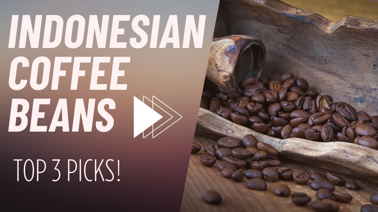Top 3 Indonesian Coffee Beans You’ll Absolutely Love! | COFFEE BUZZ ...