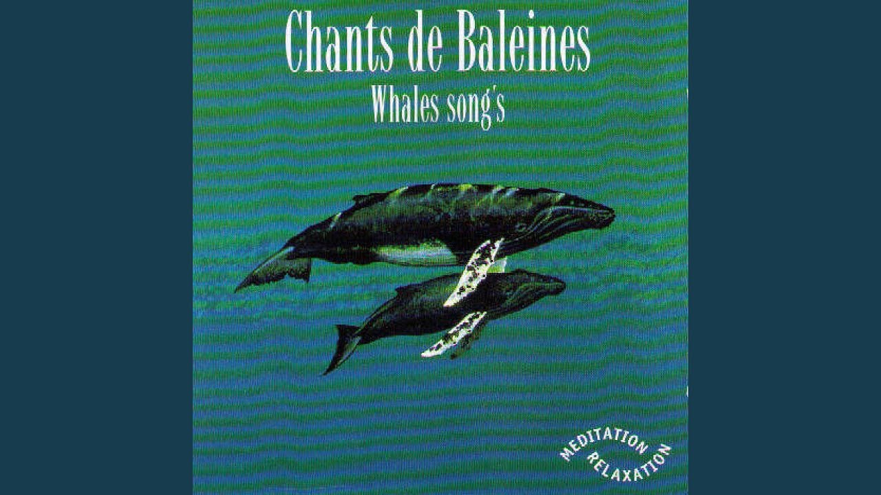 Whales Songs (Deep Ocean) - YouTube