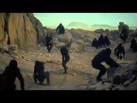Islamic Muslim ISIS Terrorist Training Camp
