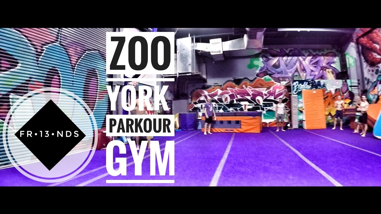 FR13NDS ||BROOKLYN ZOO||PARKOUR GYM||NYC - YouTube