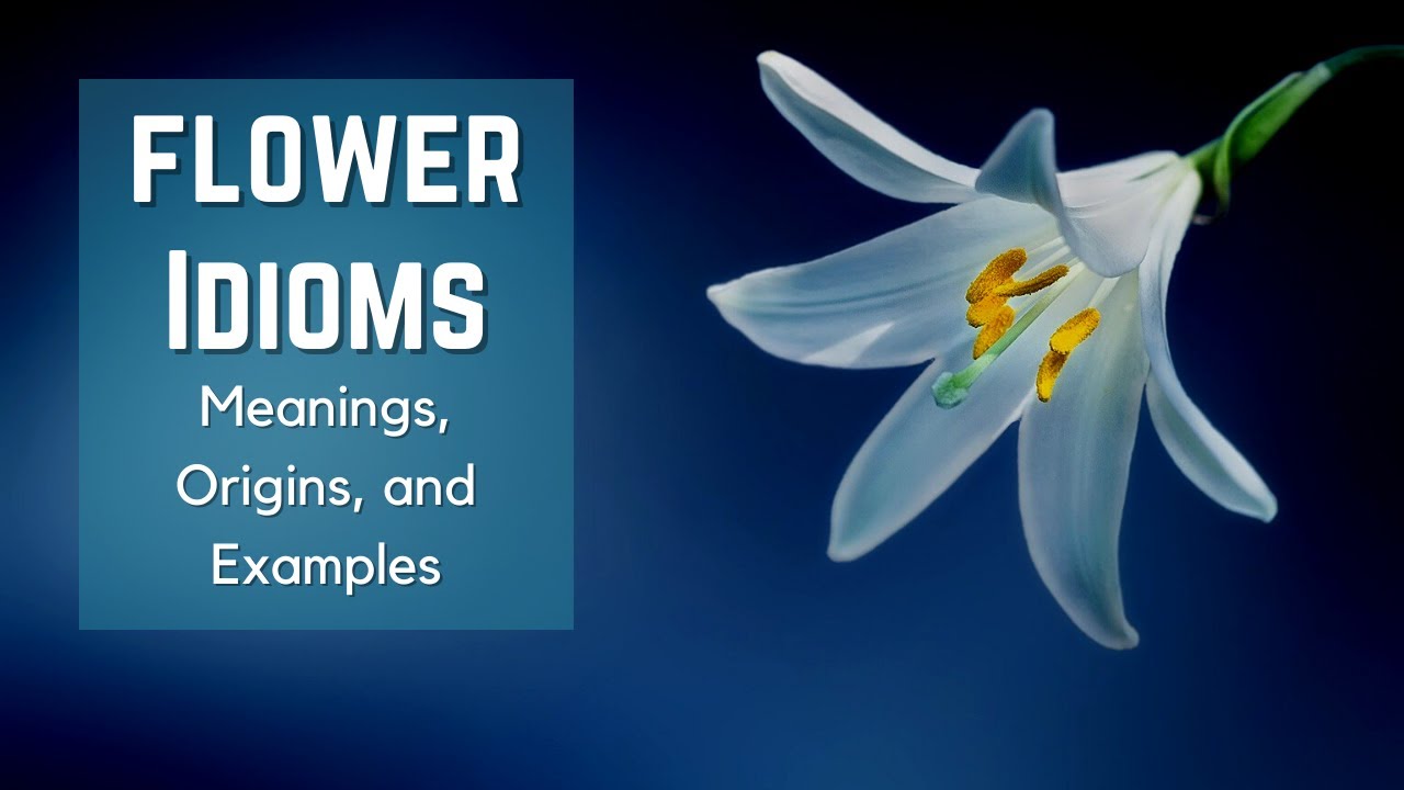 Flower Idioms - Idioms and Phrases with Meanings - Idiom Origins ...