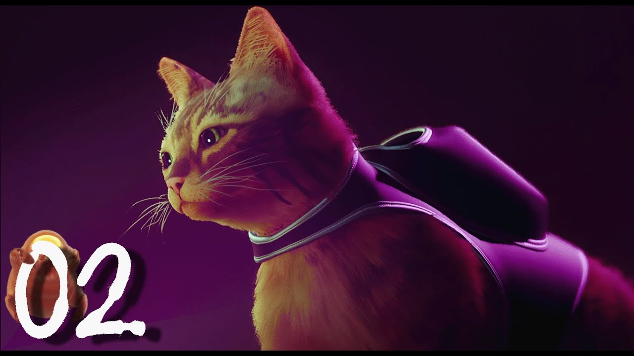 Stray - Parte 02 - Buen ojo zurk - YouTube