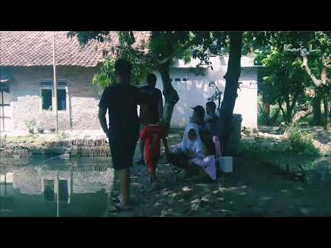 Ternyata adem nongkrong di pinggir kolam | Suasana Pedesaan Jawa Barat - YouTube