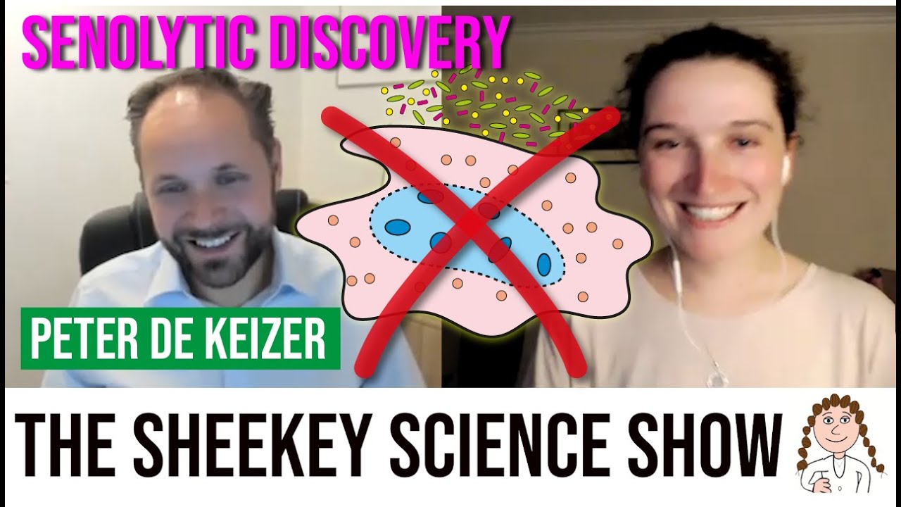 Senolytic peptides, p53 and Aging - Peter de Keizer - YouTube