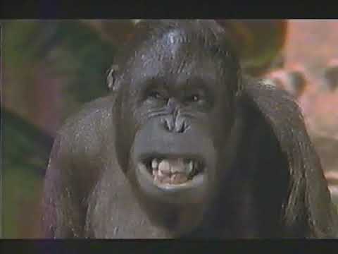 1994 The Jungle Book Movie Trailer