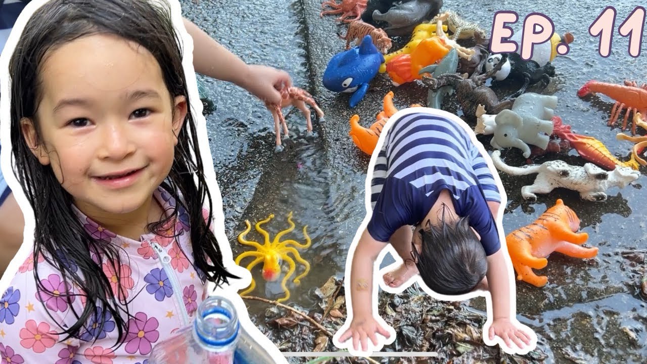 Animal toys playing outside | animal fun time | animal toy set | summer ...