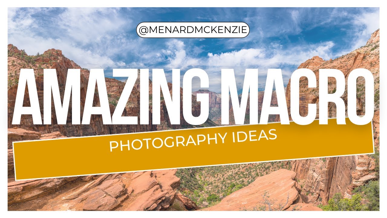 AMAZING Macro Photo Ideas photography: Exploring the miniature world ...