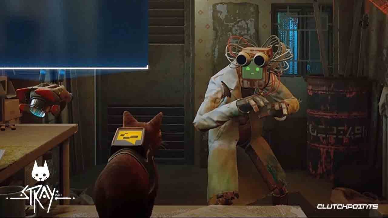 STRAY Gameplay Walkthrough Part 4 [PC] - No Commentary ( Let's Rescue ...