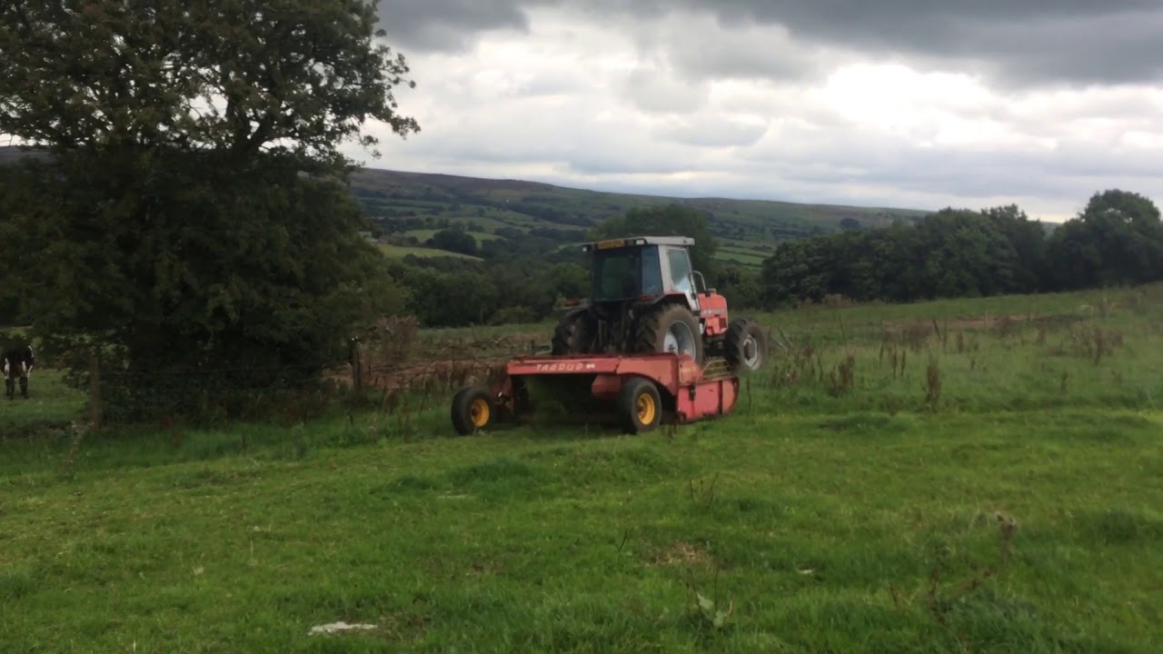 Massey mowing with the taarup 307 - YouTube