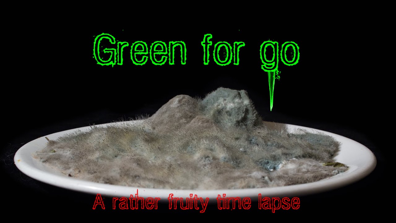 Green For Go - a rather fruity time lapse - YouTube