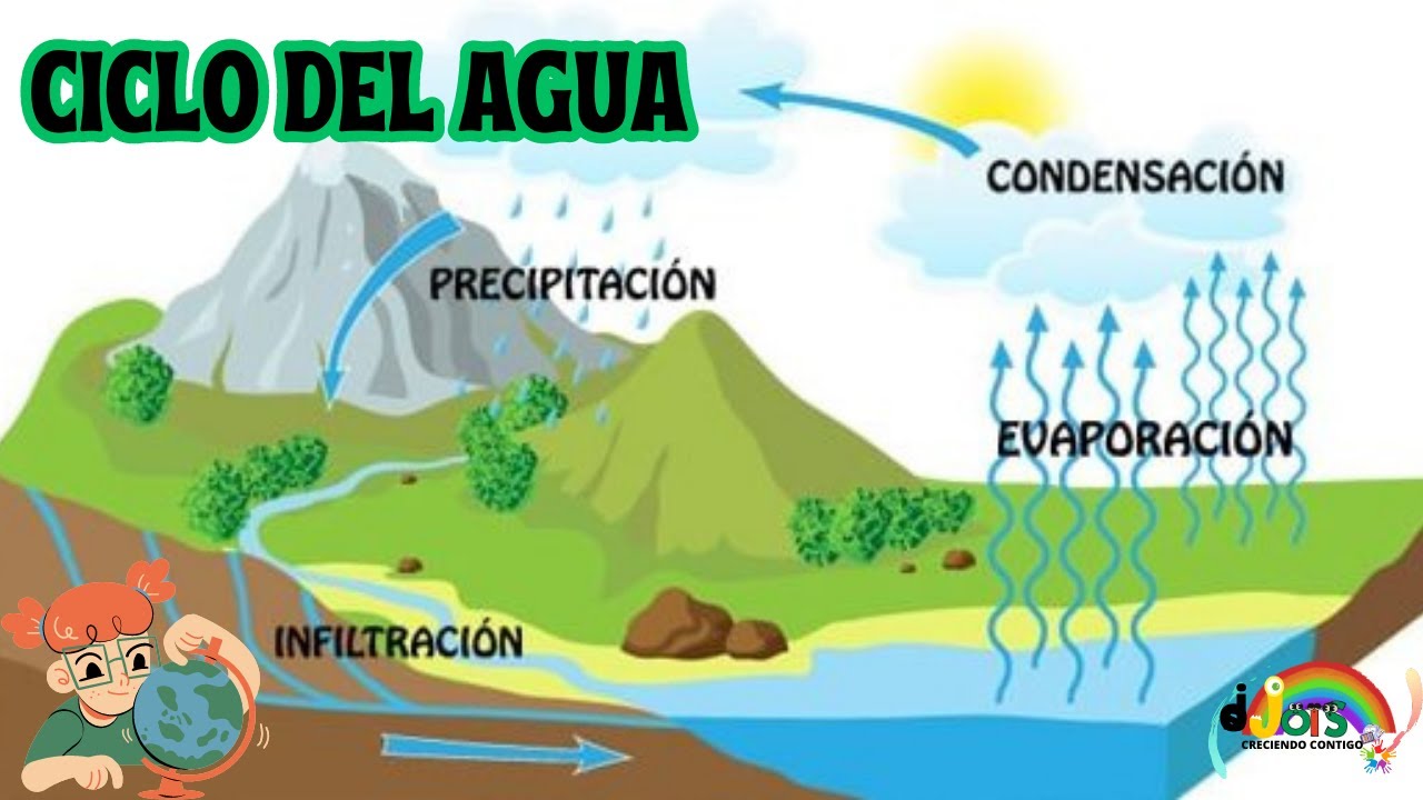 EL CICLO DEL AGUA-EVAPORACION-CONDENSACION-PRECIPITACION-INFILTRACION ...