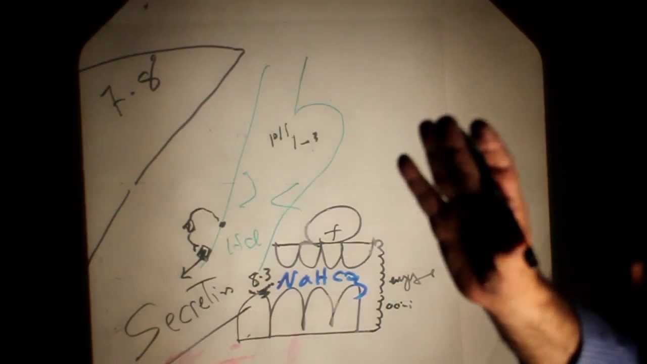 GIT Physiology L 1 - YouTube