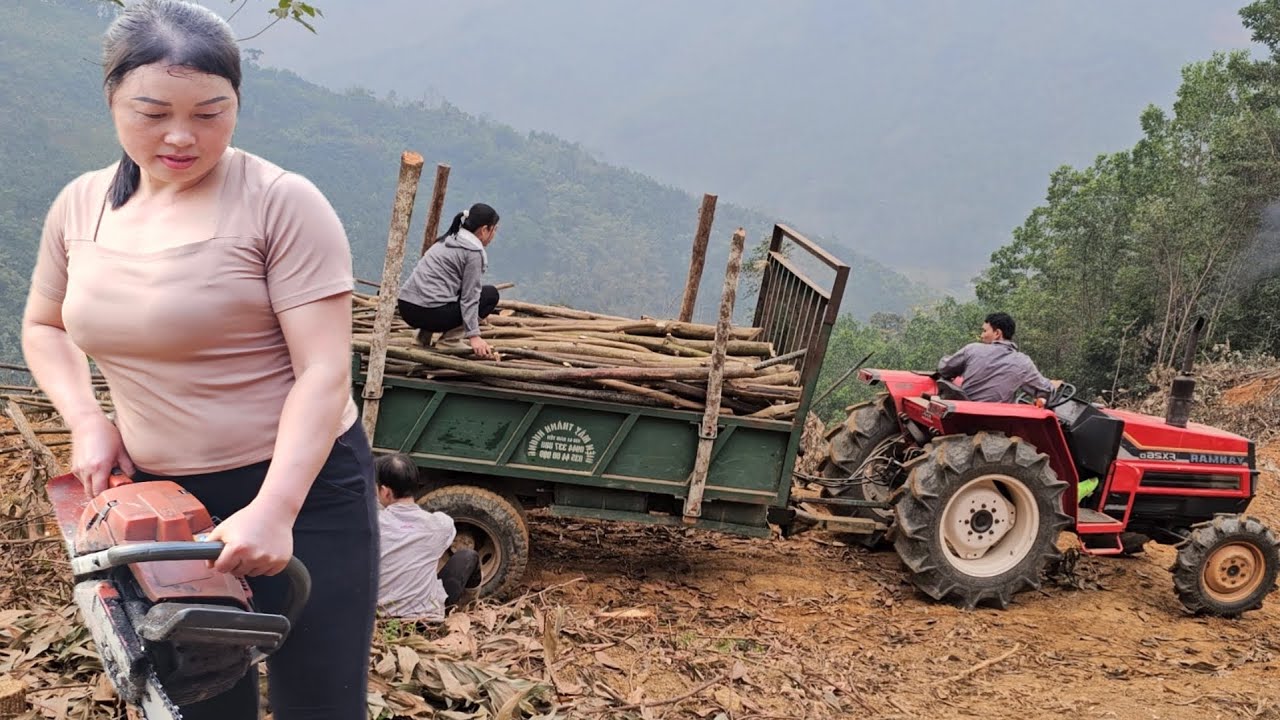Poor country girl goes to collect firewood to earn a living. - YouTube