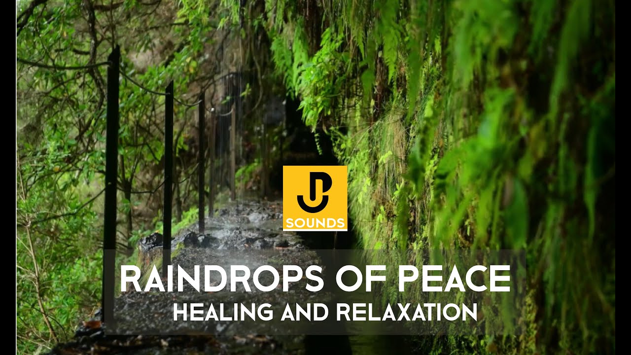 Raindrops of Inner Peace Healing and Relaxation Meditation - YouTube