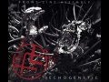 Front Line Assembly - Echogenetic | Releases | Discogs