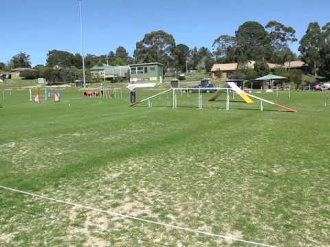 nala agility 3 mitchell - YouTube