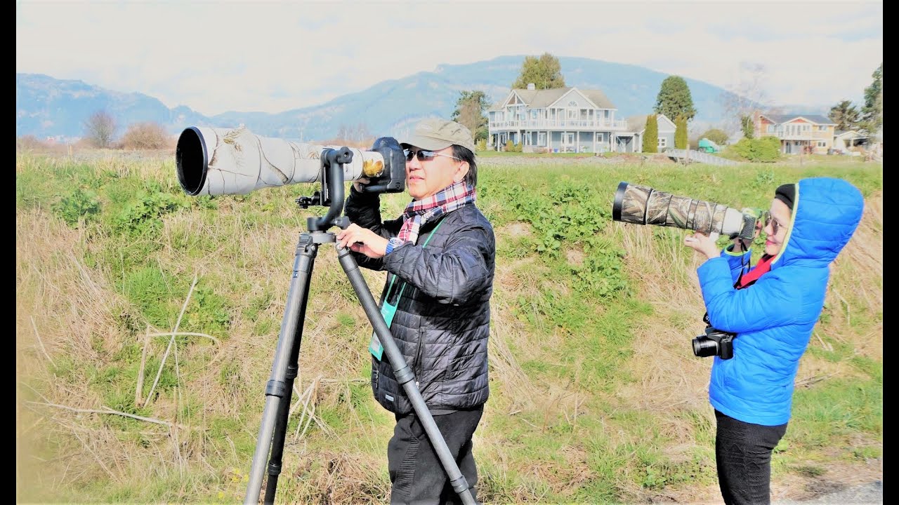 Scorpions Lorelei with Model Hillary Nguyen - YouTube