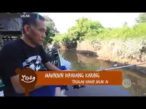 Julak atuy - YouTube