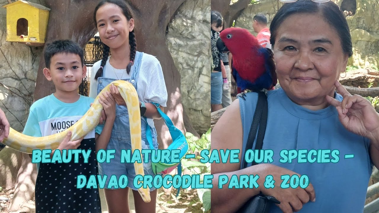 Beauty of Nature Save Our Species Davao Crocodile Park & Zoo - YouTube