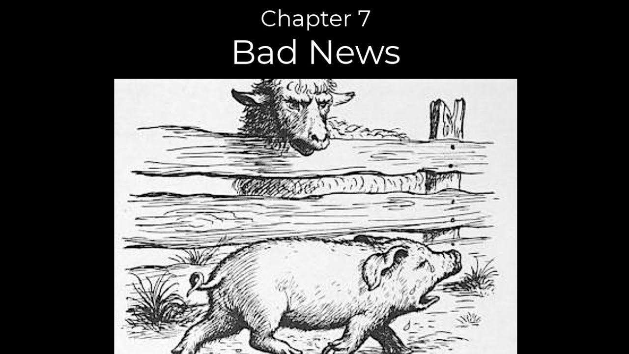 Charlotte's Web Chapter 7 Bad News - YouTube