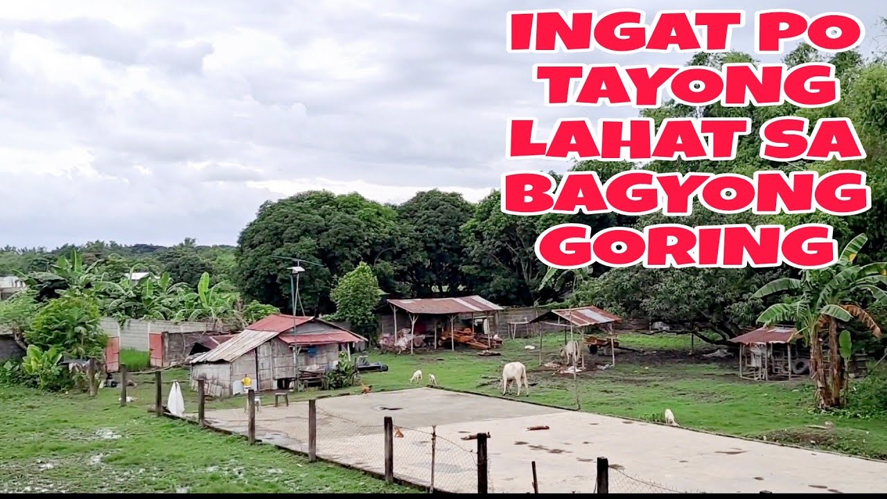 PAGGAWA NG PANGHIMAGAS AT PAGLULUTO NG NILAGANG PORK TAMANG TAMA SA ...