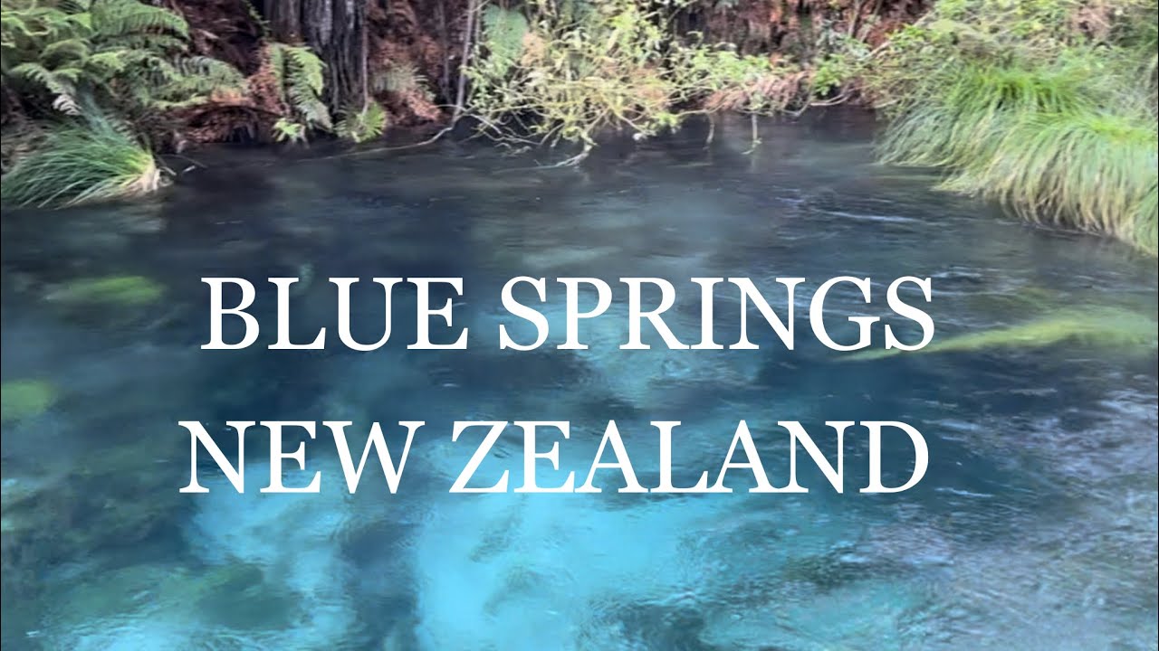 Blue Springs (One of New Zealand most beautiful walking trails ...
