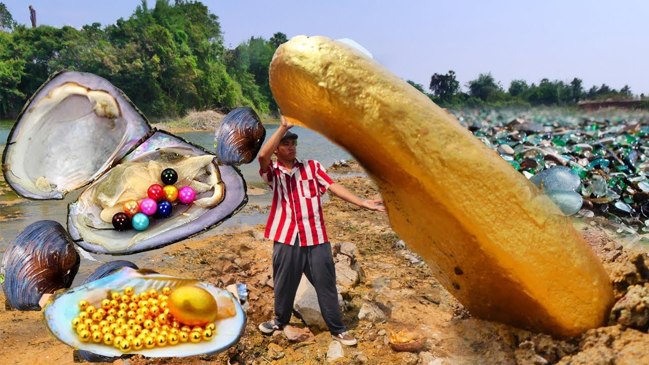 Golden pearls in the river. The gold and diamond shells here are large ...