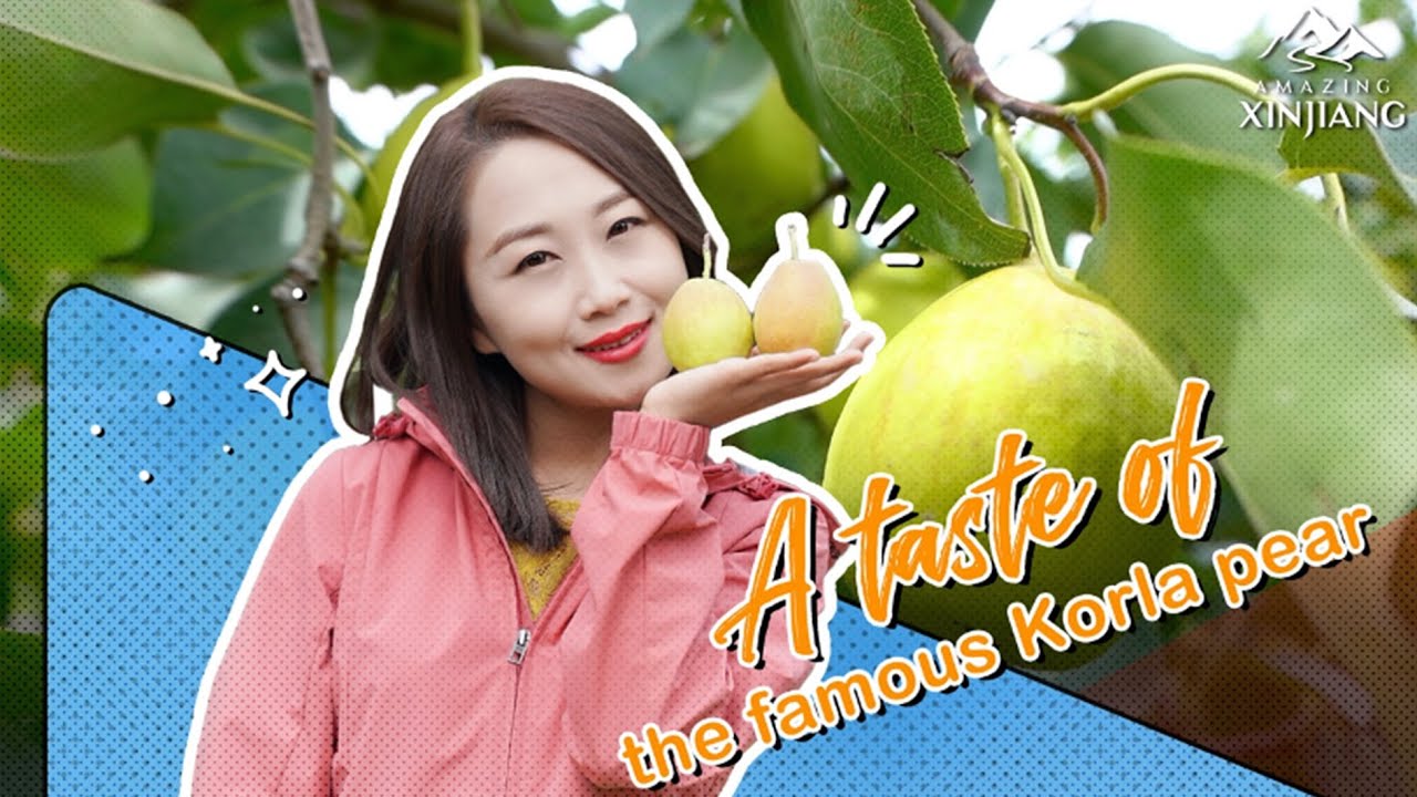 A taste of the famous Korla pear - YouTube