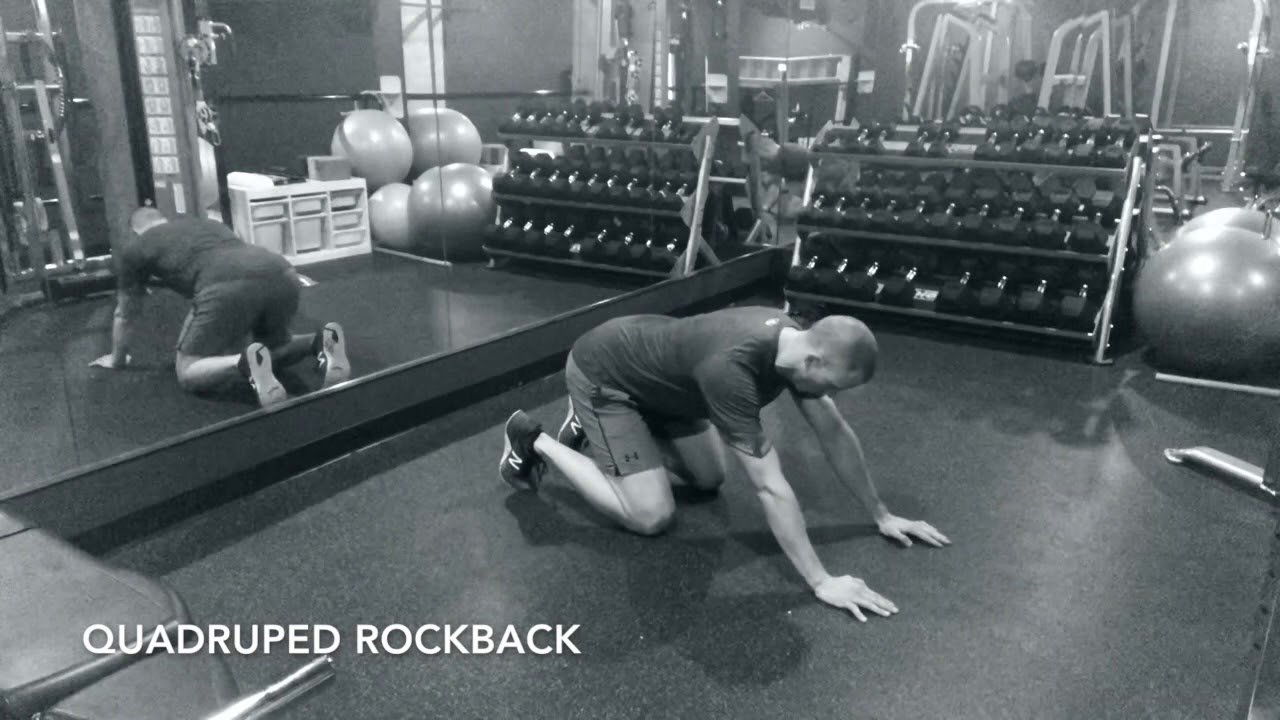 Quadruped Rockback - Upside Strength Exercise Library - YouTube