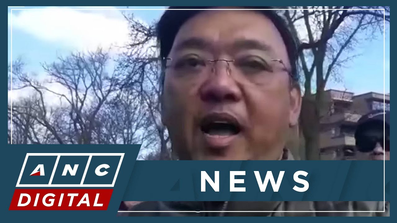 Harry Roque calls Interpol red notice bid by PH gov’t ‘political ...