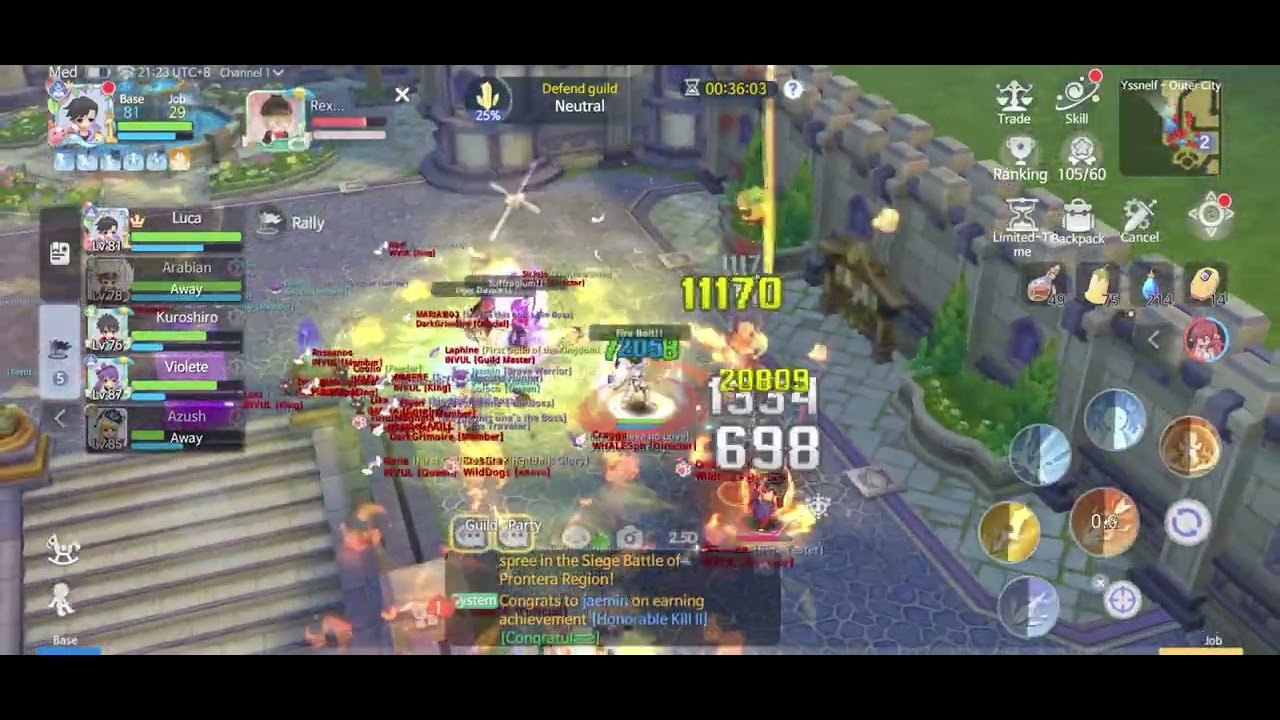 Ragnarok Origin WOE Professor POV - YouTube