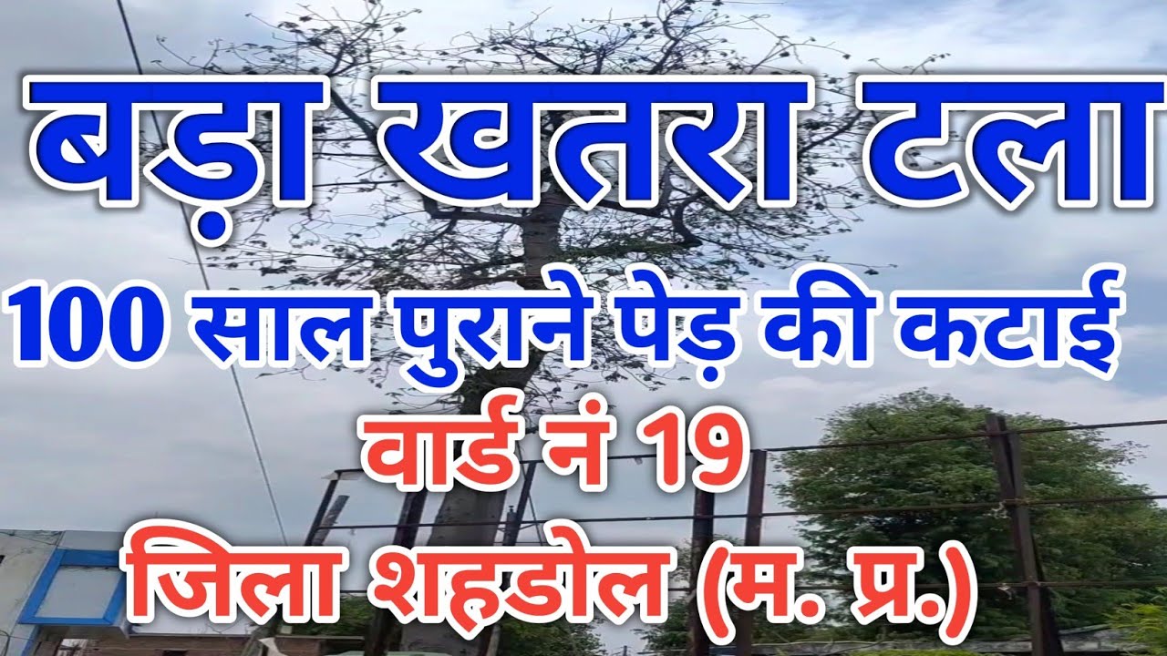 100 Years Old Tree | FINAL CUT | RESCUE | SUSSEXFULLY COMPLETE 💯 - YouTube