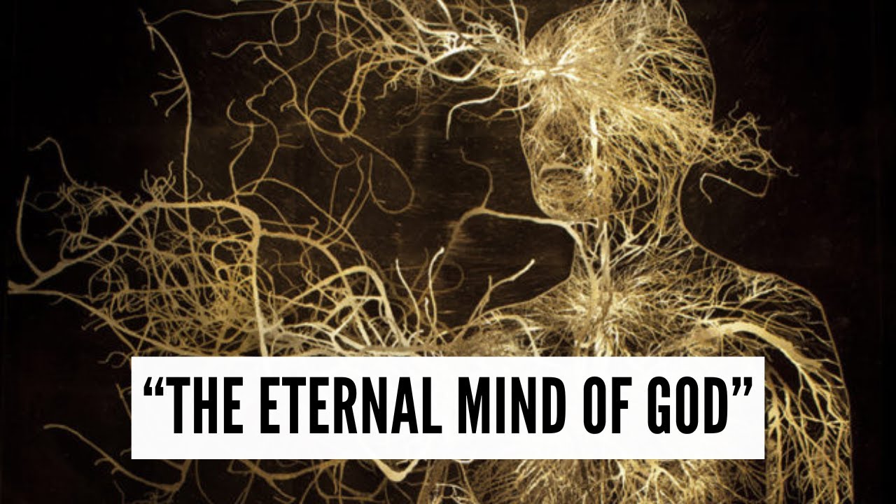 Where Does Consciousness Exist? - INSIDE THE ETERNAL MIND OF GOD - YouTube