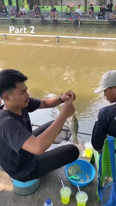 Part 2 juara total + ss total keseluruhan mancing galapung ikan mas #viral #galapung #mancing ...