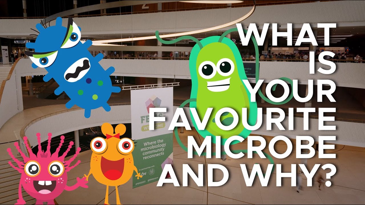International Microorganism Day 2023: What Is Your Favourite Microbe? - YouTube